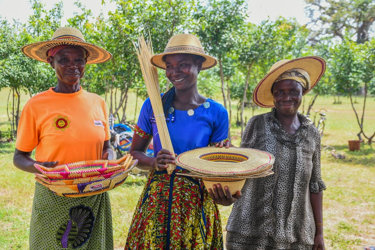 Reviving Roots: FMNR Restores the Environment, Boosts Traditional ... Reviving Roots: FMNR Restores the Environment, Boosts Traditional ...